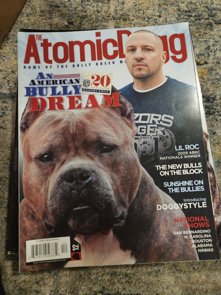 Razor Edge Bully Pitbulls 10 Types Of American Bully Bloodlines (With