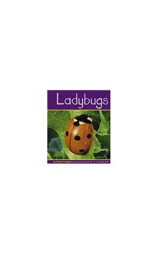 Ladybugs (Insects (Mankato, Mi - Library Binding - ACCEPTABLE ...