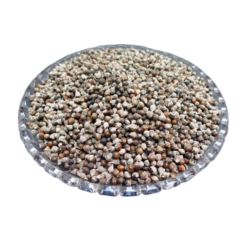 Nirgundi Seeds Vitex Negundo Chaste Tree Lamiaceae Sambhalu-Seeds-Free ...