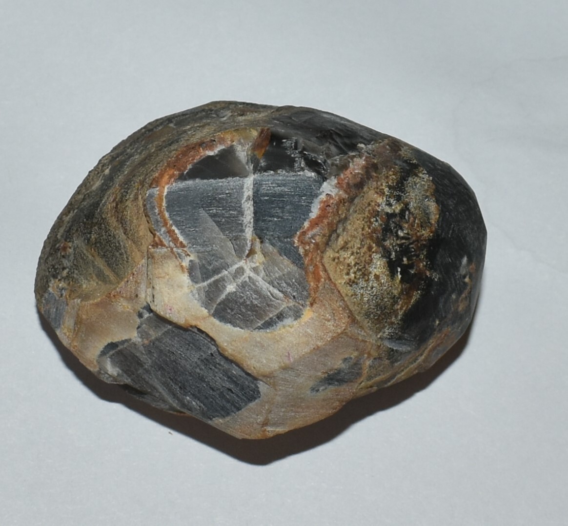 Thunder Egg Agate Whole from The Blue Ridge Mountains North Carolina ...