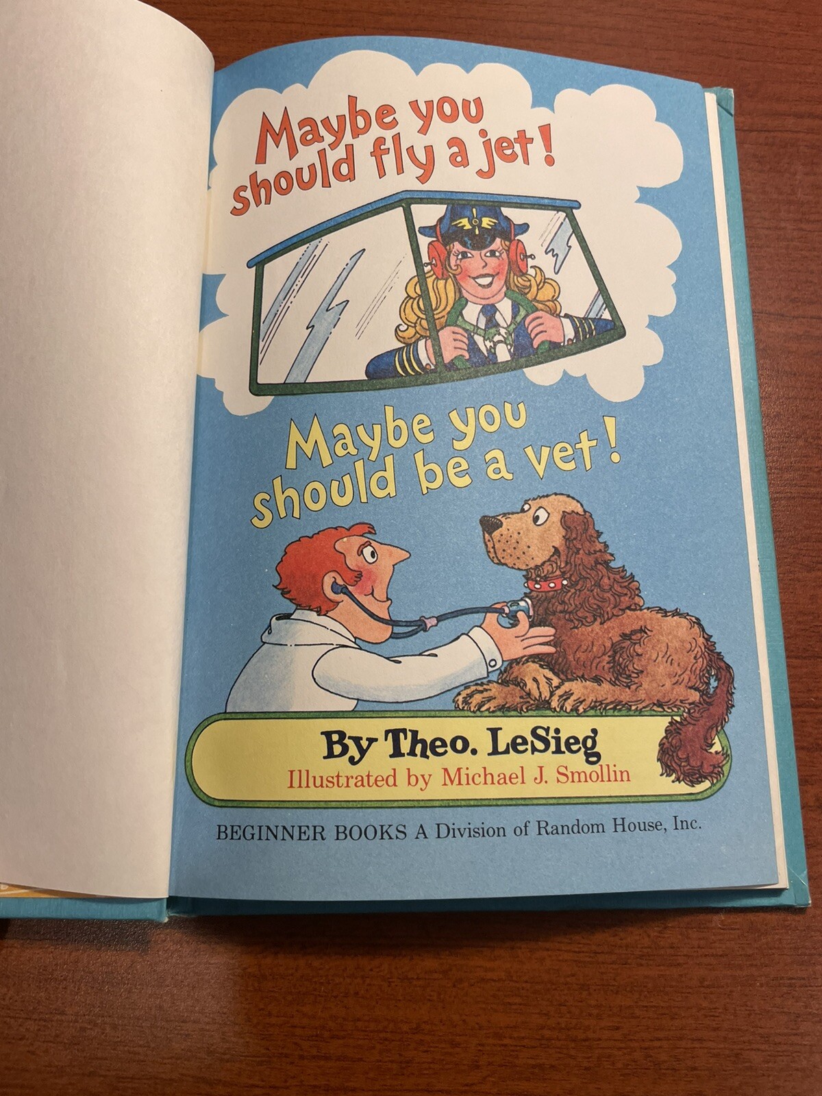 Beginner Bks.: Maybe You Should Fly a Jet! Maybe You Should Be a Vet by ...