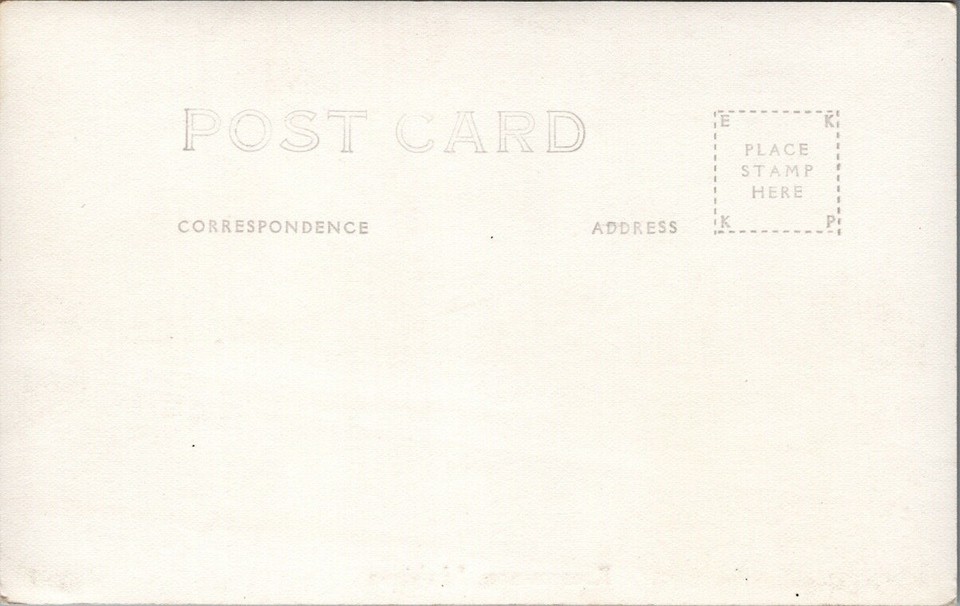 Roscommon Michigan Black Bear Cubs Bears Unused Real Photo Postcard H17 ...