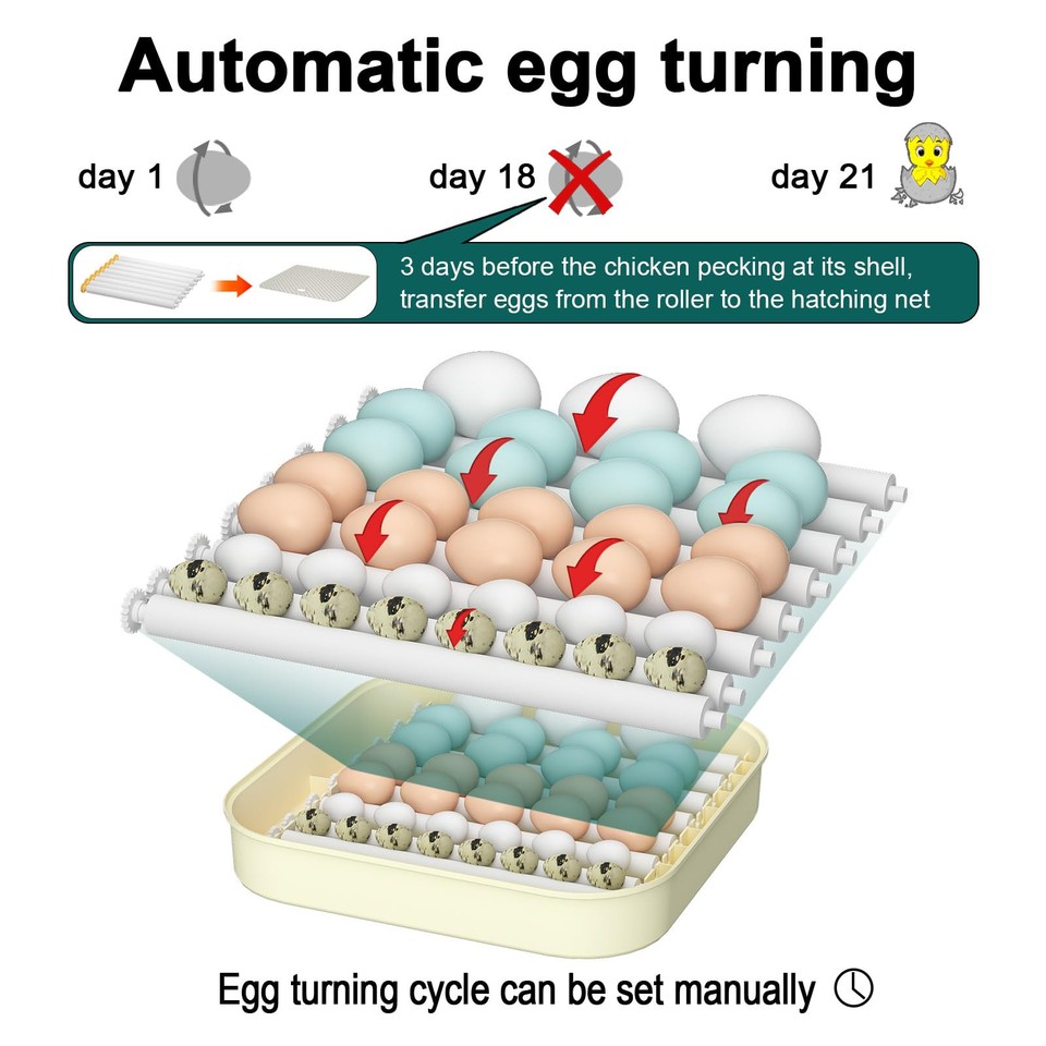 35 Egg Incubator with Automatic Egg Turning and Humidity Control ...