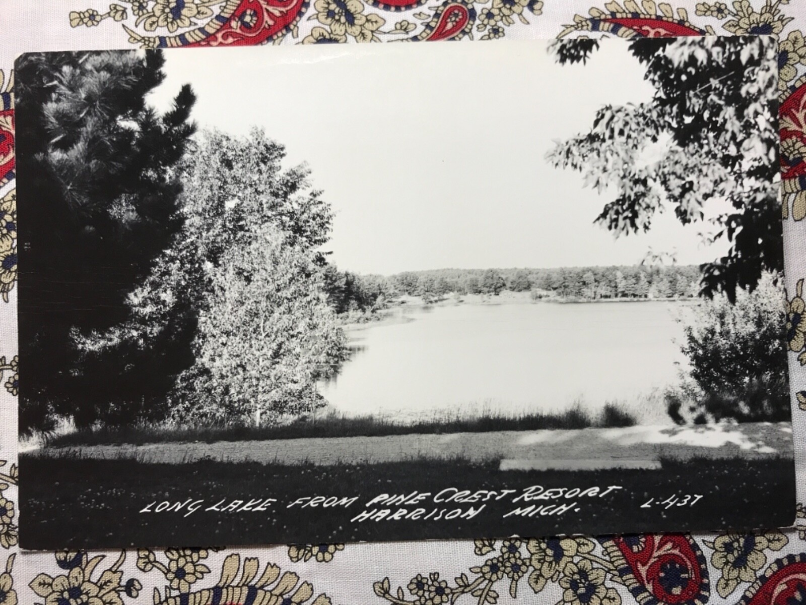 Long Lake, Harrison, Michigan | eBay
