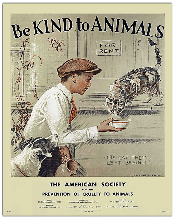 COOL ASPCA VINTAGE DEPRESSION ERA POSTER Be Kind To Animals Cat Art ...
