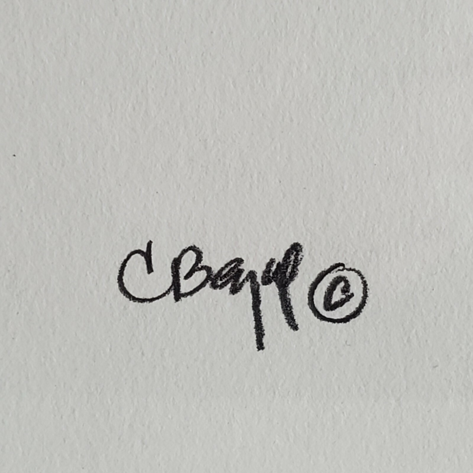 Original Pencil Sketch on Paper Signed by Native American Artist Carlos ...