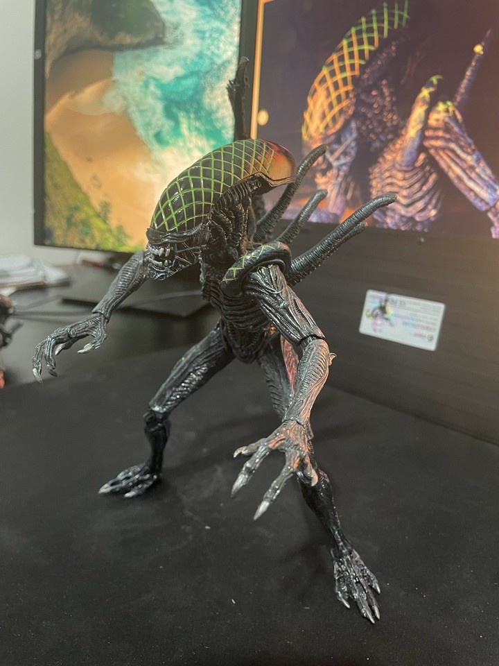 Authentic Neca AVP Grid Alien 634482516027| eBay
