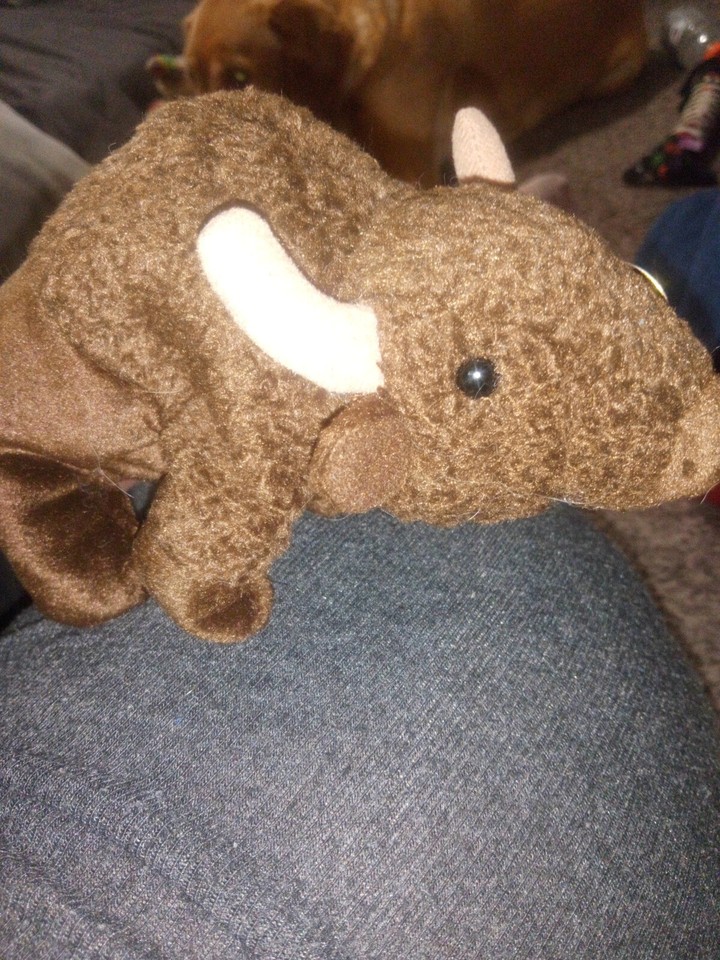 ty beanie babies rare roam the buffalo | eBay