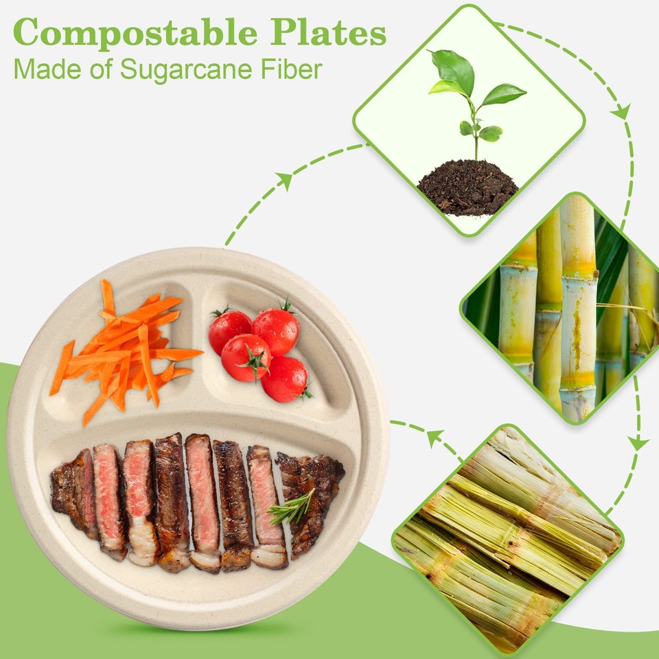 9 inch 3 Compartment Paper Plates - 50 Pack, Heavy Duty, Divided ...