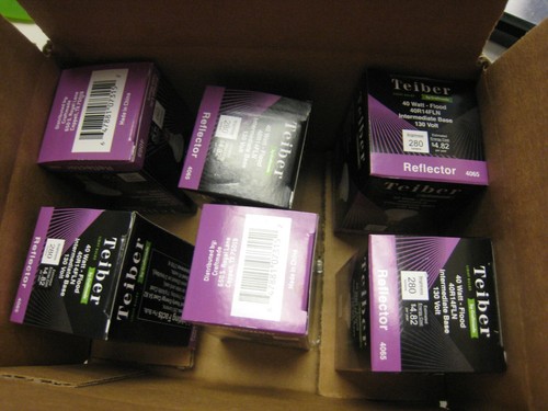 6 yes 6 TEIBER 40W R14 E17 Base 130V Indoor Reflector Frosted Flood ...