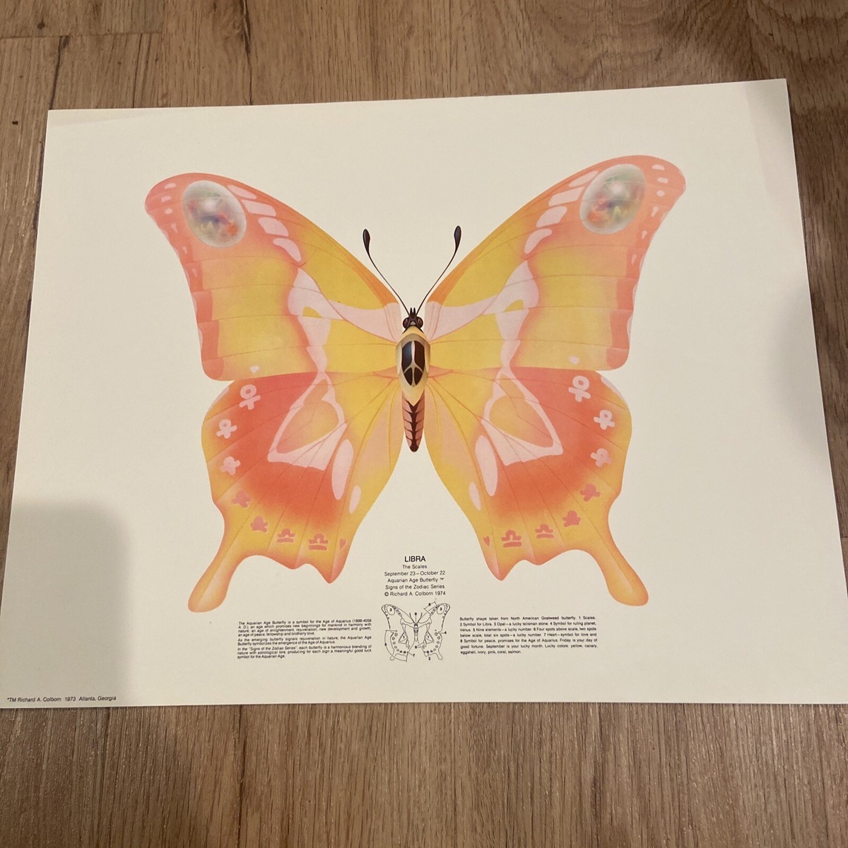 Zodiac signs butterfly 60 photos - Astrologytoyou.com