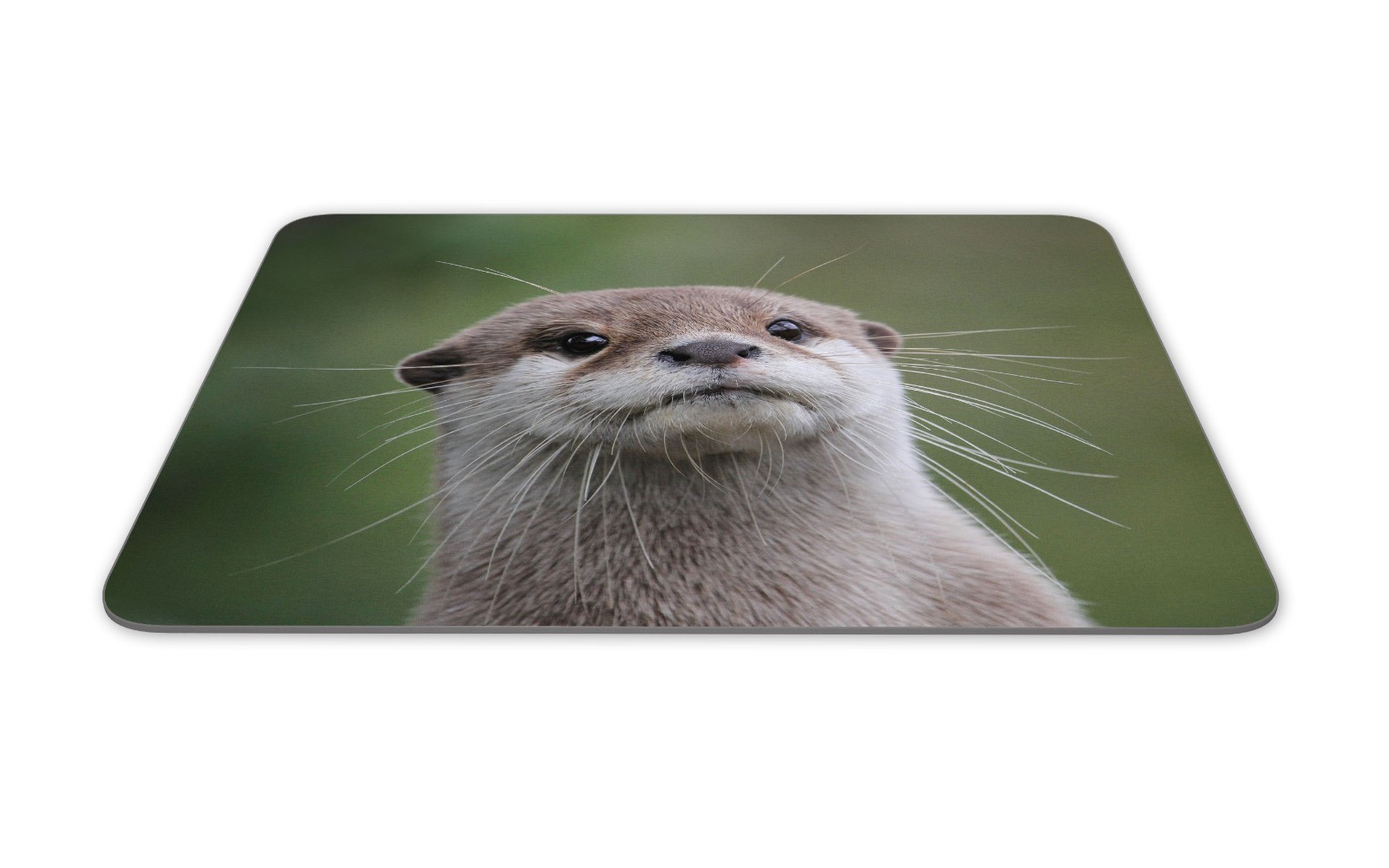 Cheeky Otter Mouse Mat Pad - Cute Wild Animal Sea River Fun Computer ...
