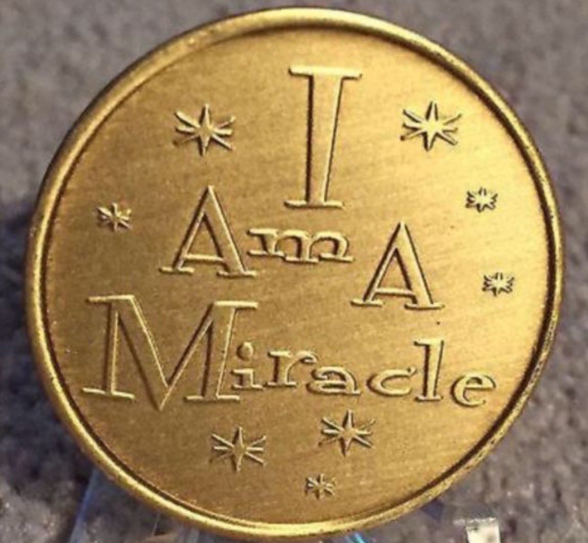 AA Alcoholics Anonymous Butterfly Miracle sobriety coin token medallion ...