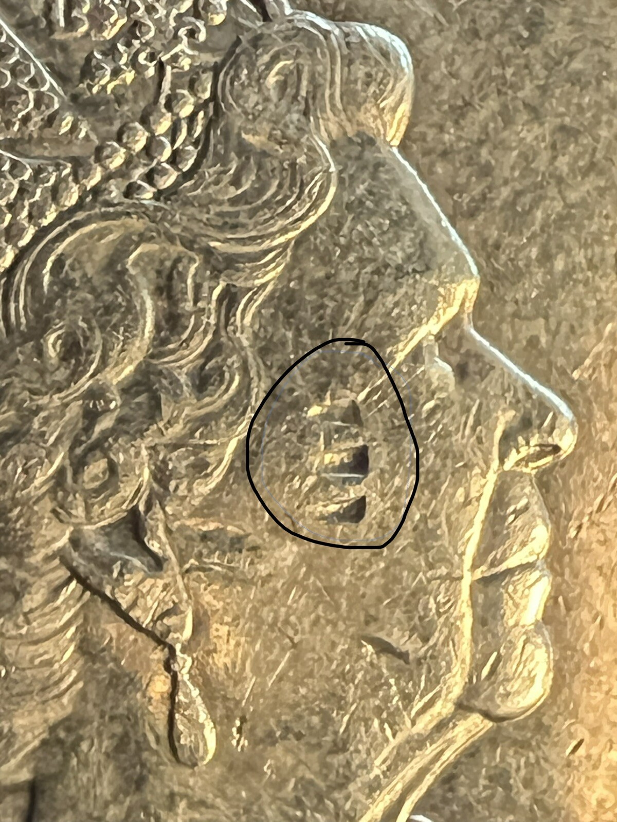 2021 $1 Dollar One Dollar Donation Coin Rare mint marks error Genuine ...