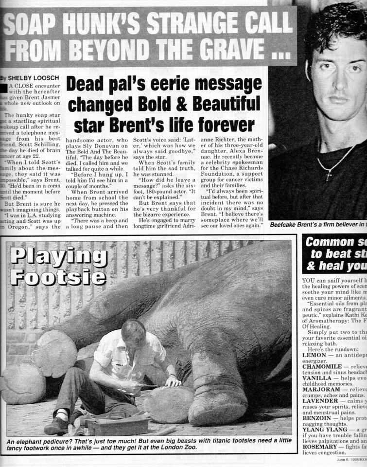 NATIONAL EXAMINER June 6 1995 O.J. Nicole Simpson Eriq LaSalle Heather ...