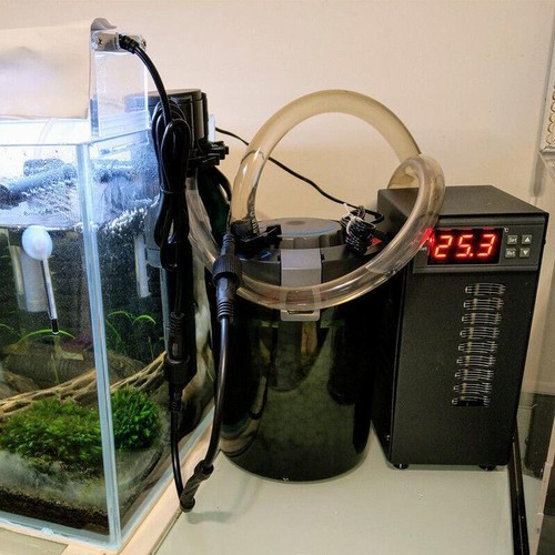 20L Thermostatic adjustable chiller aquarium fish tank circulating ...