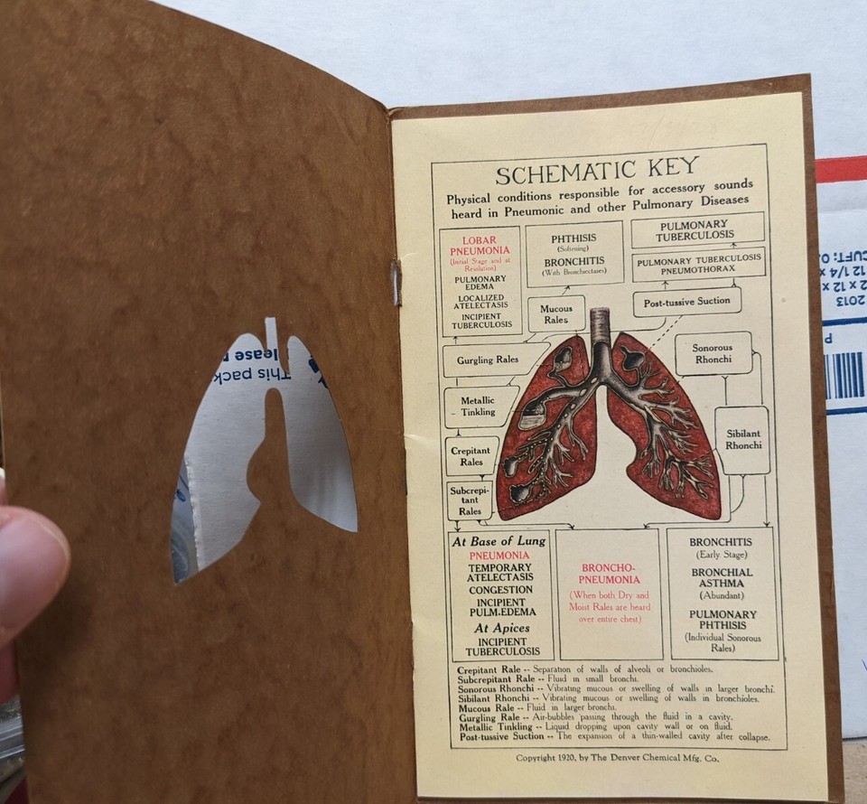 1920 The Pneumonic Lung Physical Signs & Pathology The Denver Chemical ...