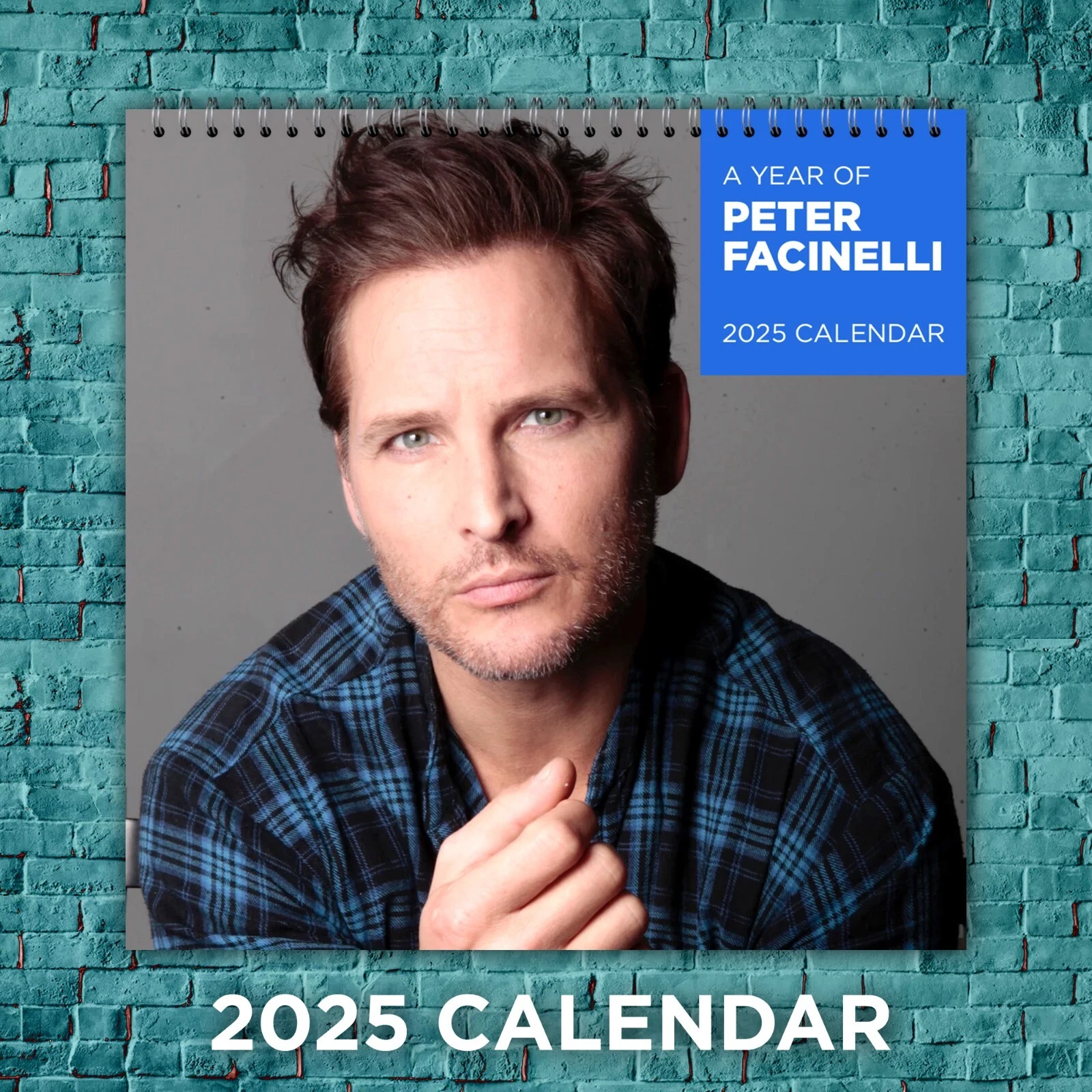 Peter Facinelli 2025 Hollywood Stars Calendar, 12-Month Actor Wall ...