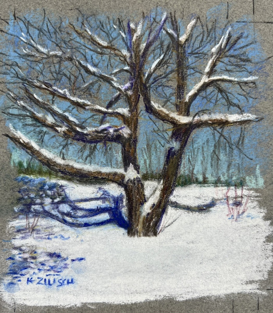 Winter Tree Drawing With Snow