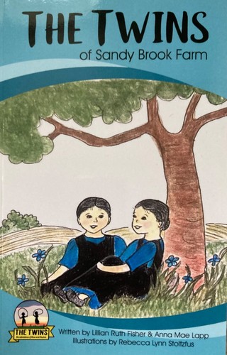 The Twins of Sandy Brook Farm - Amish Children’s Chapter Book - Amish ...