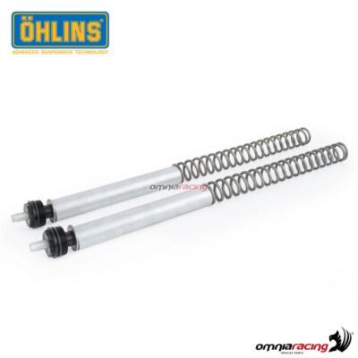 Ohlins FSK100 front fork springs kit and fork caps Honda CRF300L/Rally ...