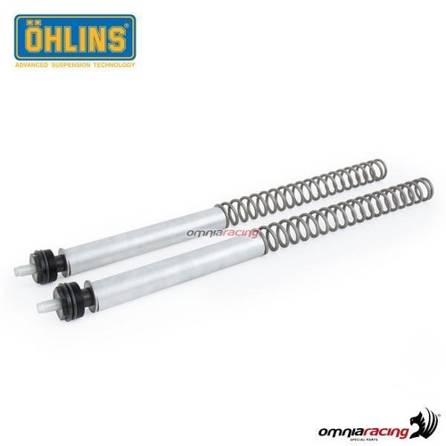 Ohlins FSK100 front fork springs kit and fork caps Honda CRF300L/Rally ...