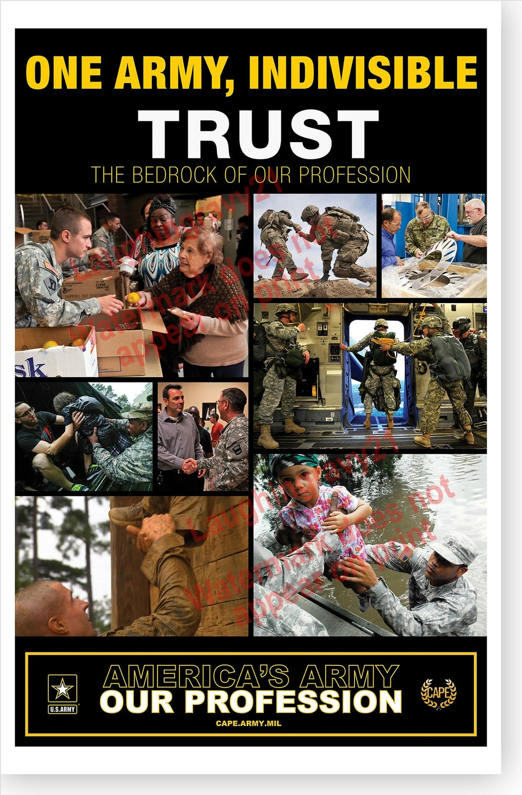 US Army Trust The Bedrock Army Indivisible CAPE Poster Version 3 | eBay