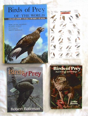 3 Books + Laminated Field Guide Card BIRDS OF PREY OF THE WORLD + BIRDS OF PREY | eBay