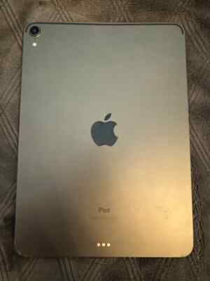 iPad Pro 11-inch A1980 256gb Wifi only (HEAVY USE BUT FUNCTIONAL ...