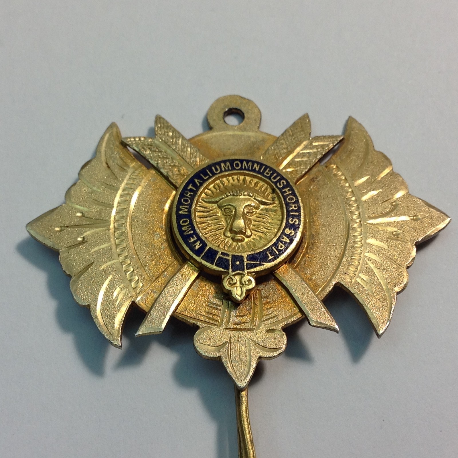 Royal Antediluvian Order of Buffaloes Lodge Medal Gold Gilt Sterling ...