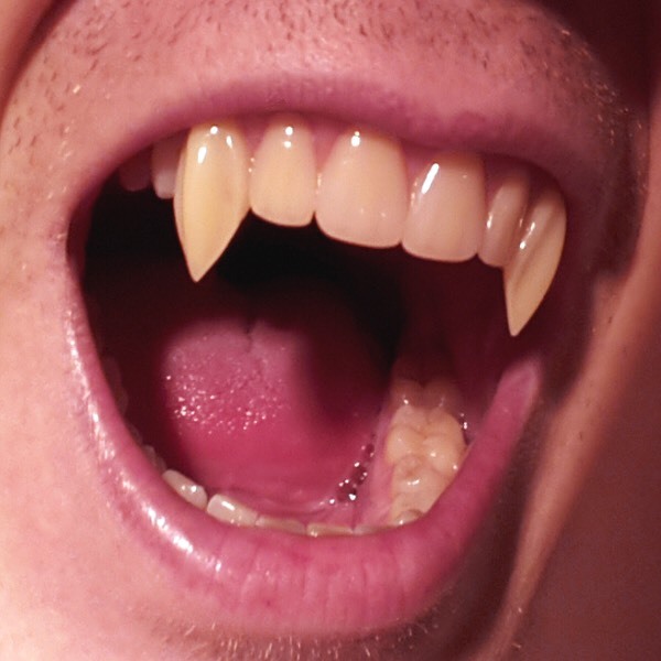 Bloody Fangs Bloody Fangs With Thermoplastic