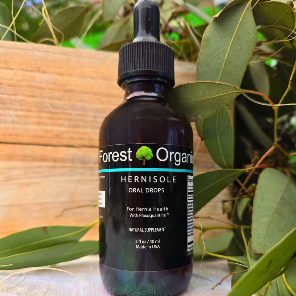 Natural Hernia Health Supplement:Hernia Support Belt with Muscle ...