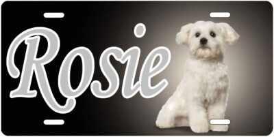 Engraved - Personalized Maltese License Plate - Auto Tag | eBay