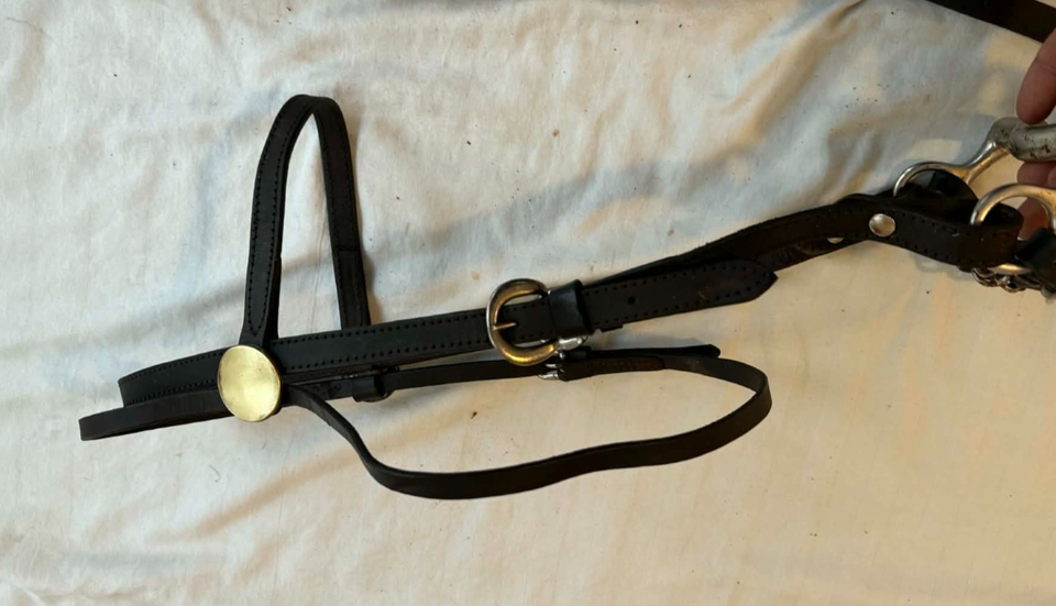 QUALITY -Complete Western RANCH Leather Headstall/Reins/Bit TACK LOT ...