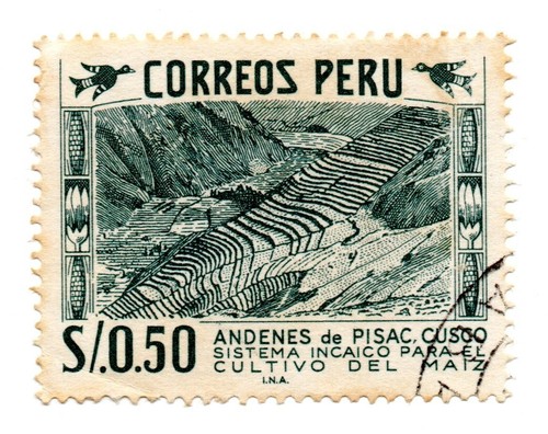 Inca farming system for corn crop, Andenes Pisac Cusco, Perú 1952 ...