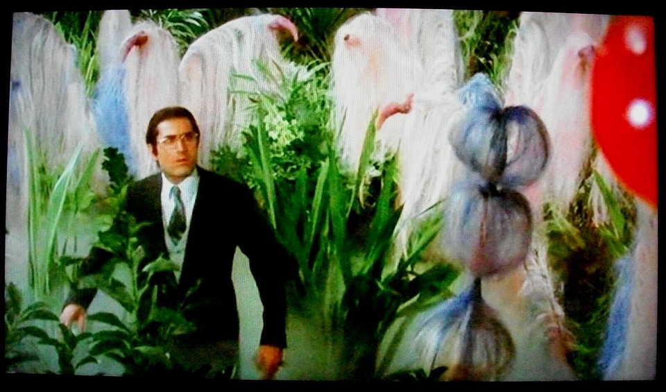 The Senator Likes Women Laura Antonelli dvd -r Reg. 0 Eng. subs ws D ...