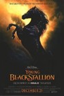 Young Black Stallion Double Sided Original Movie Poster 27×40 inches | eBay
