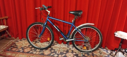 Vintage 1990s Muddy Fox Ranger Mega Mountain Bike 21 spd Electric blue ...