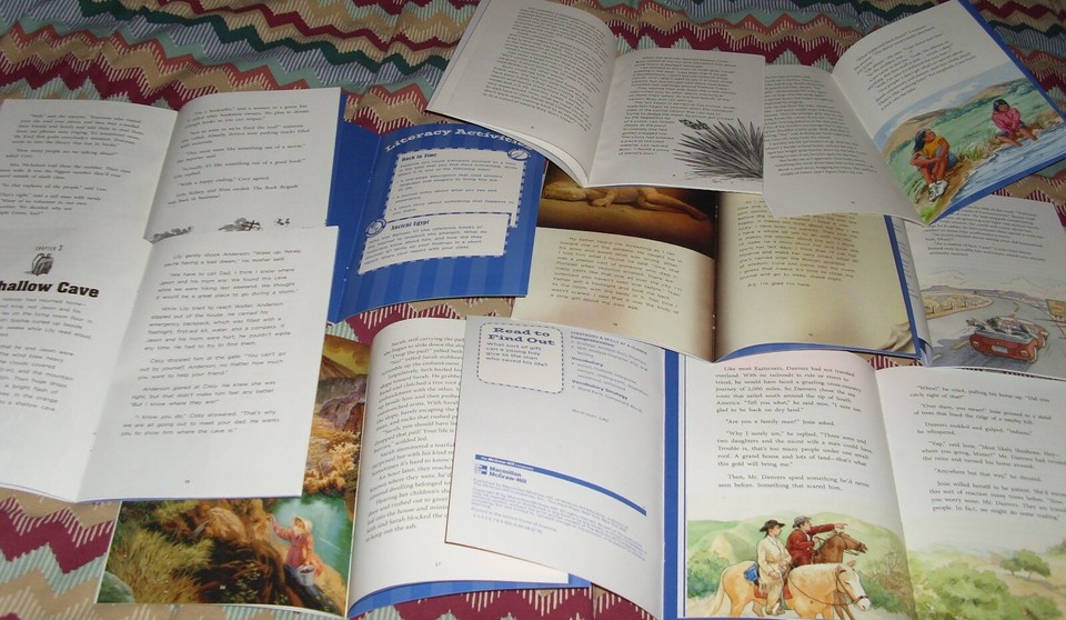 New Books:10 (Realistic,Historical,Sci Fiction)-6th grade Macmillan ...