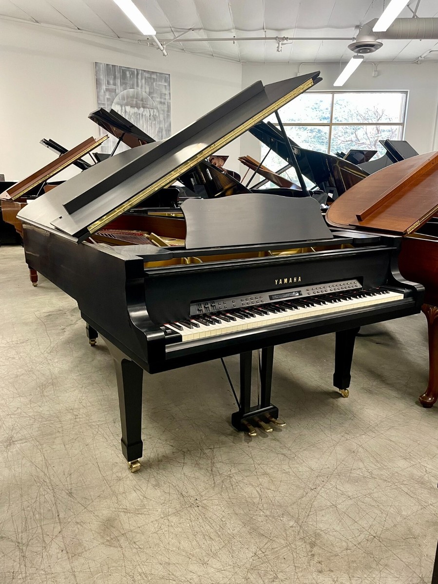 Piano De Cola Yamaha C7