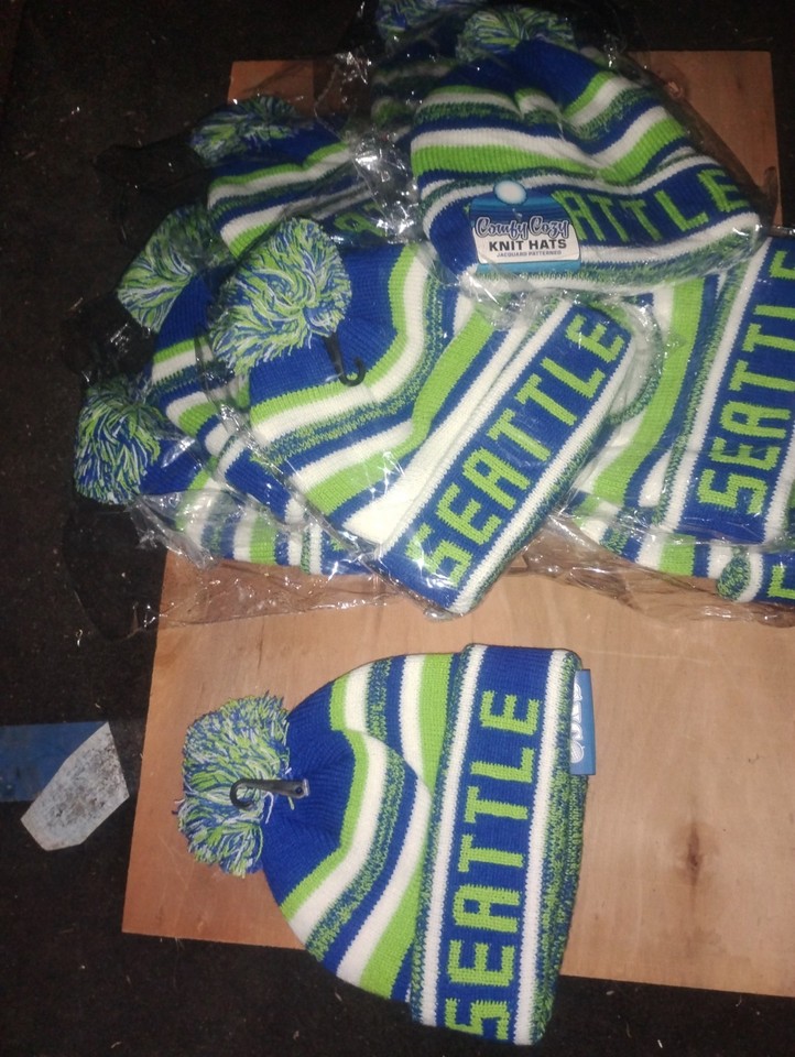 Seattle Seahawks Beanie Winter Hat Comfy Cozy Knit Hat | eBay