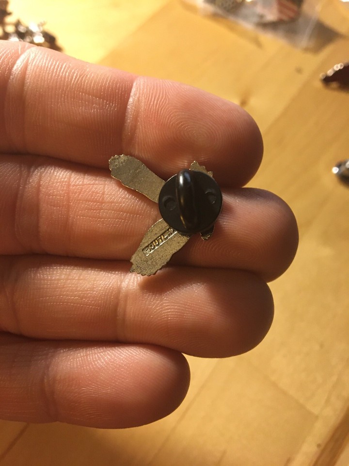 Bald Eagle Hawk enamel pin NOS enamel pin predator prey NEW outlaw ...