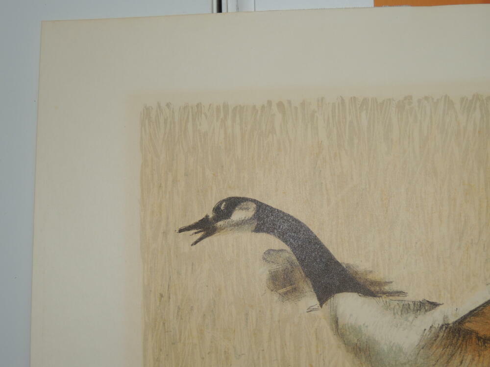 Original Don Whitlock Numbered 31/200 Print / Litho Signed Limited Edt ...