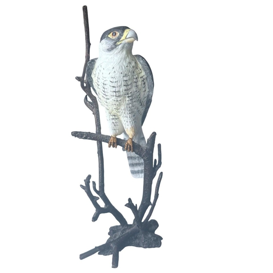 Royal Worcester Peregrine Falcon 1985 Limited Edition Birds of Prey ...