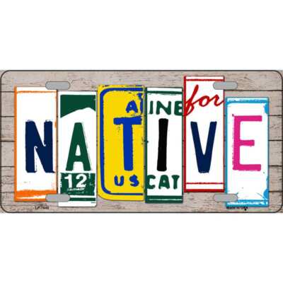 Native Cut Letter Metal Novelty License Plate Tag LP-7849 | eBay