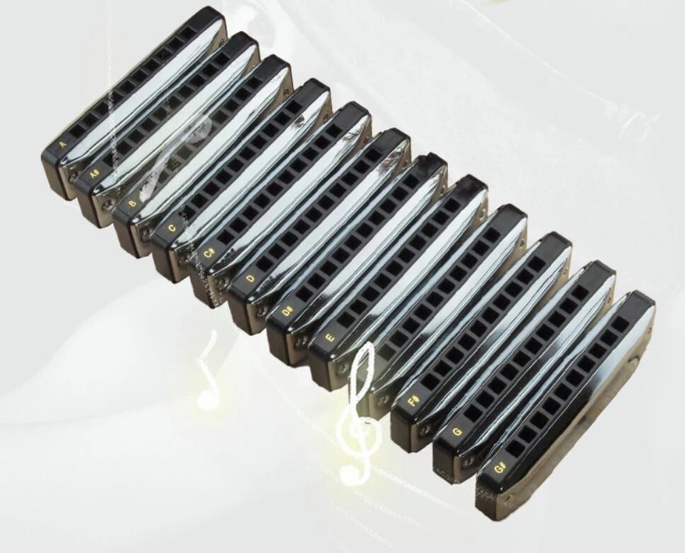 EASTTOP 10Hole Harmonica set 20Tone Diatonic Blues Harmonica Set blues ...
