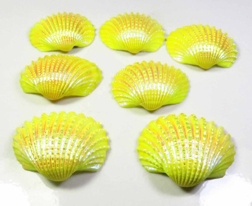 Yellow Titanium Coated Sea Shell Rainbow Sparkle SHELL 35-42mm 7 Pcs ...