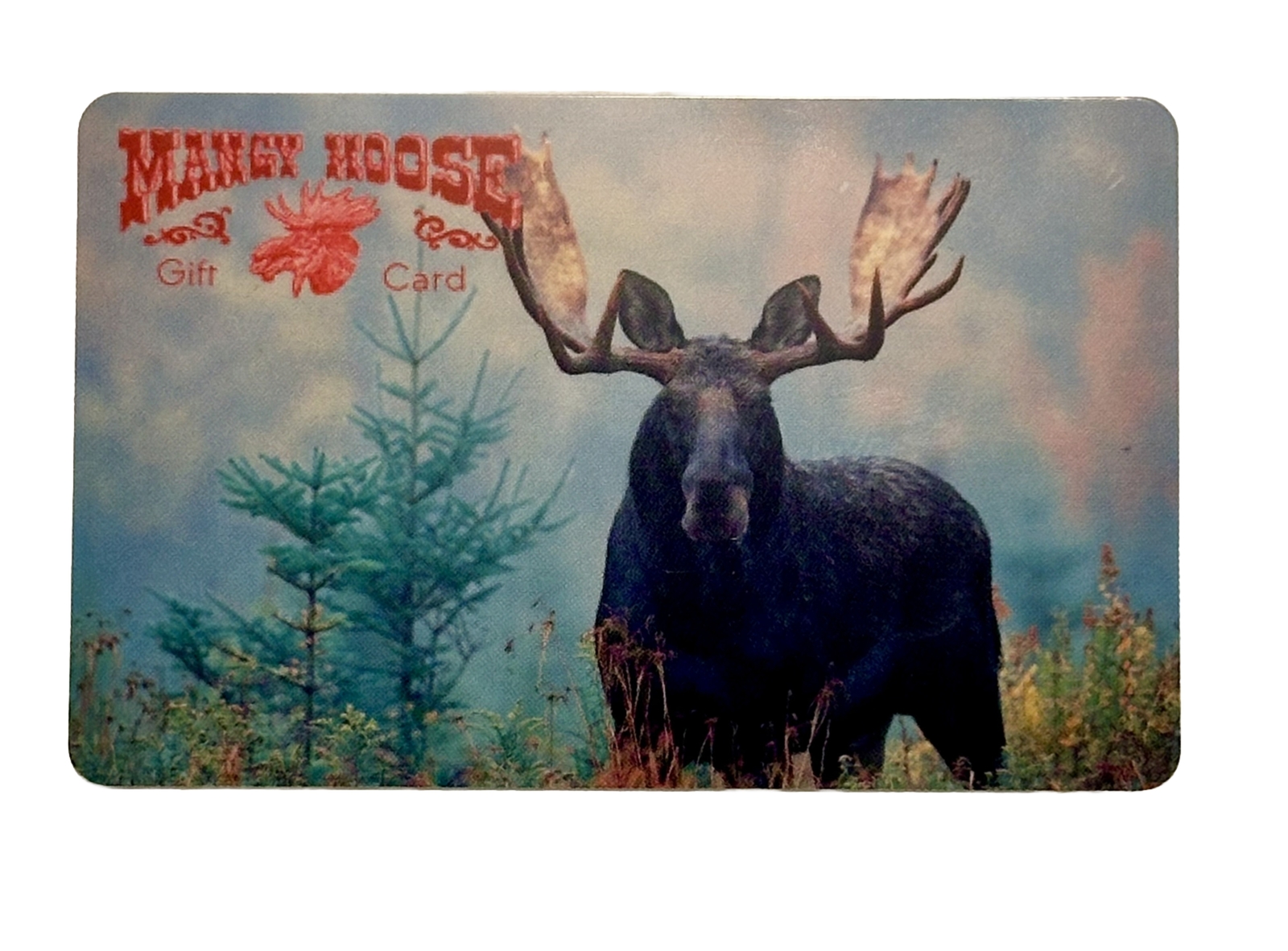 MANGY MOOSE Gift Card. Unique Maine Retailer. Collectible Only | eBay