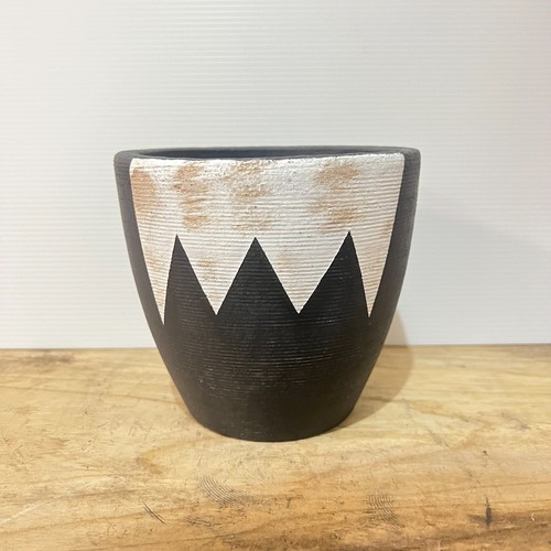 MEX Plant pot invisible ink valiem Agave Gracilius Operculicarya ...