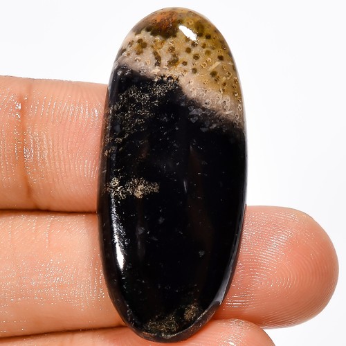 Natural Palm Root Agate Oval Shape Cabochon Gemstone 33.5 Ct. 37X16X6 ...
